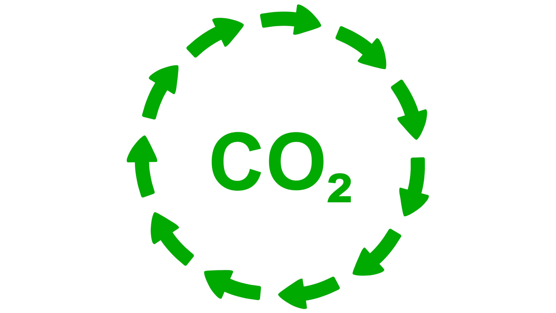 EU Certification framework for carbon removals - Swedish Forest ...