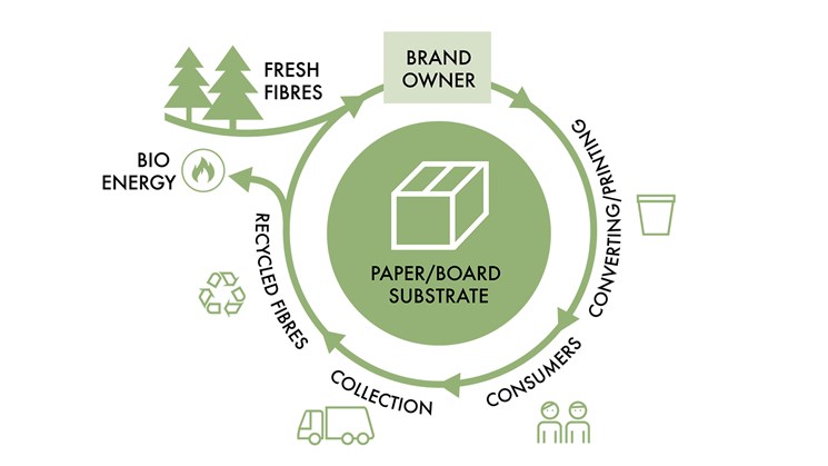 The path of packaging through the circular economy - Swedish Forest ...